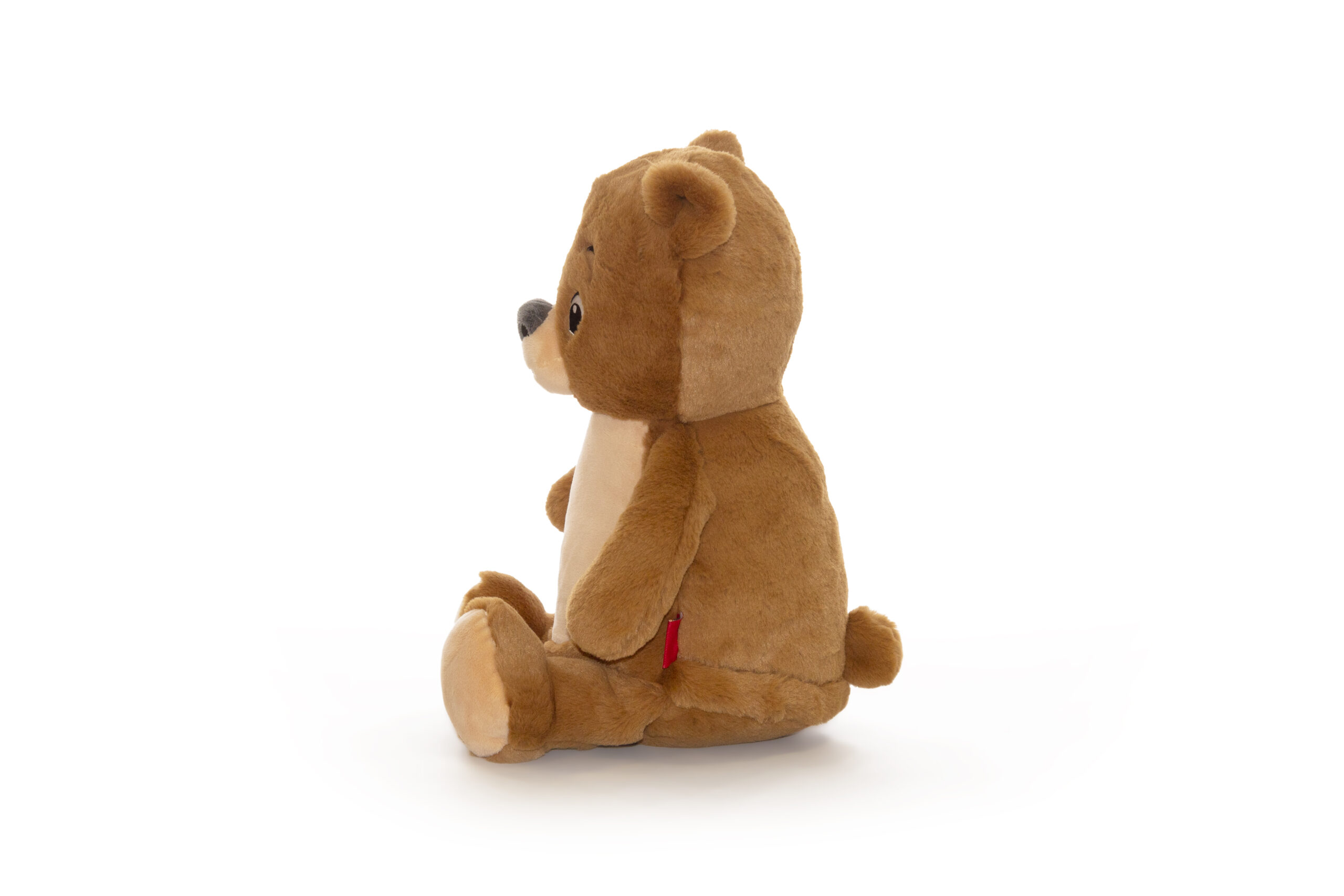 Signature Bear Cubbies Teddy Bear – Meggie's FamJam Collections
